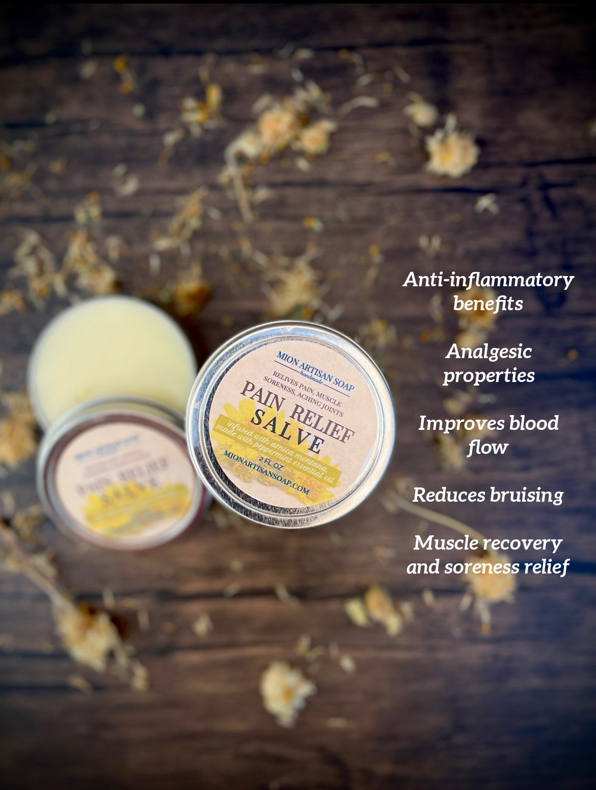 Pain Relief Salve | Infused with Arnica Montana – MION Artisan Soap Co.